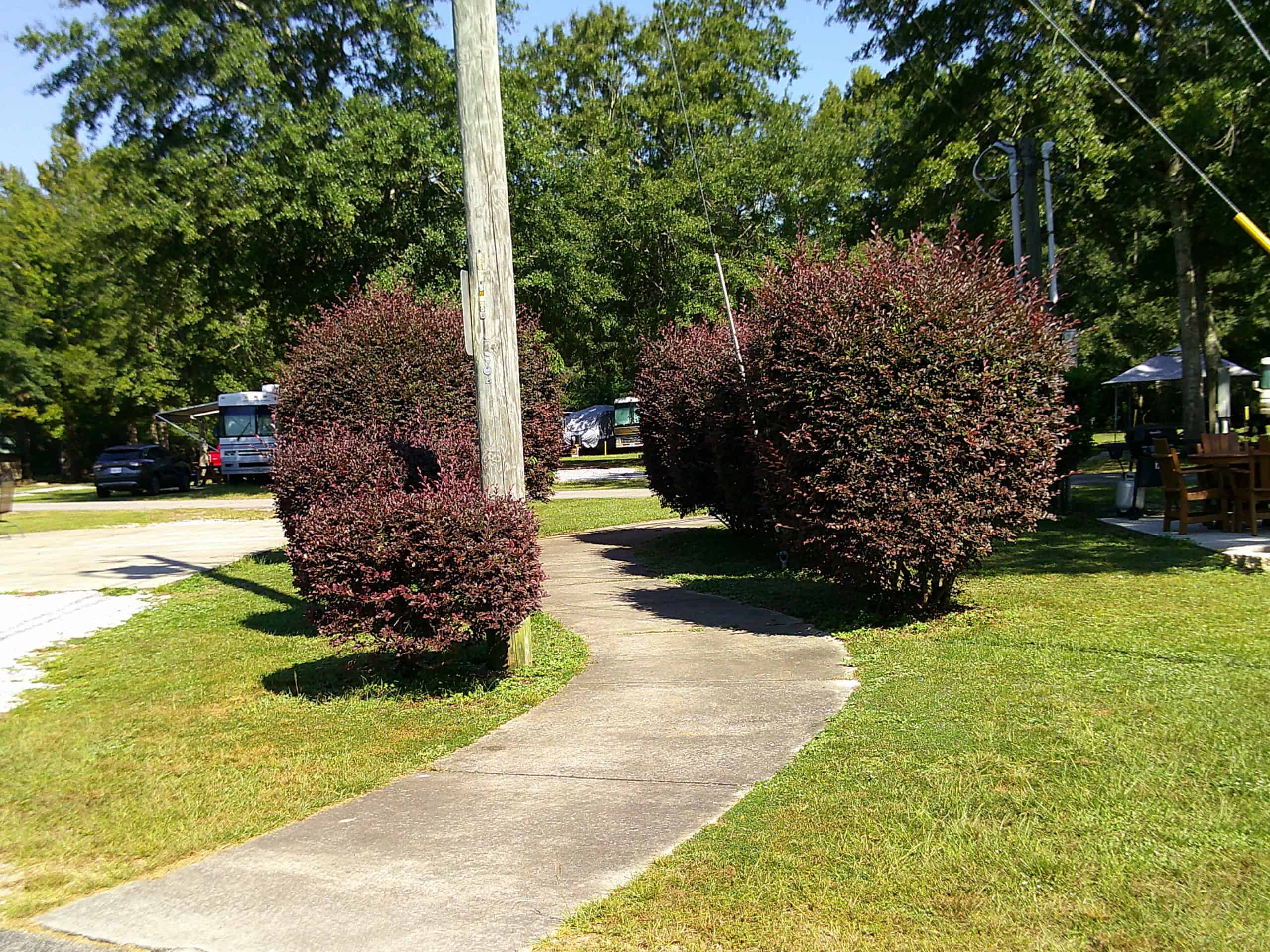 Photo & Video Gallery - Unhitched Milton RV Resort